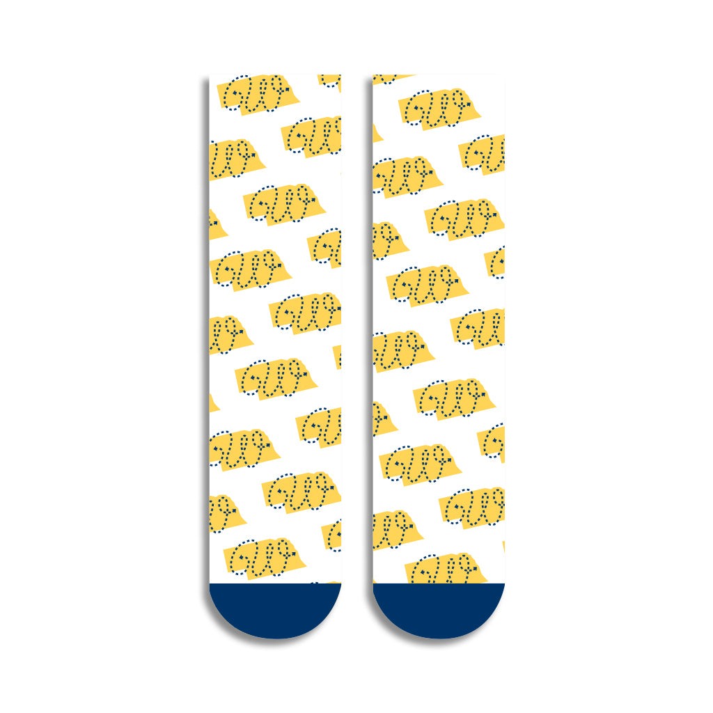 NSHSF: Wander Nebraska Socks – Raygun Custom